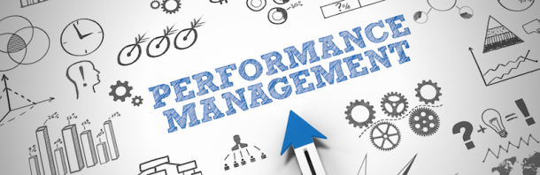Portfolio Performance Management | Project-Management.PM
