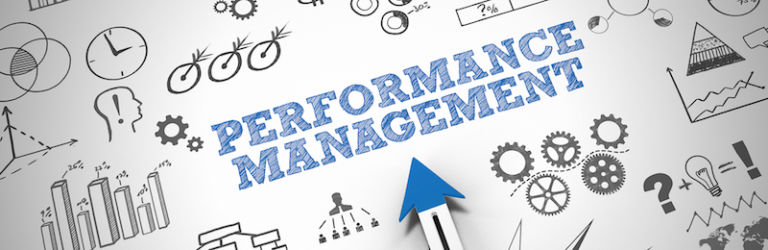 Portfolio Performance Management | Project-Management.PM